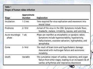 Dr.k yashoda rabies presentation | PPT