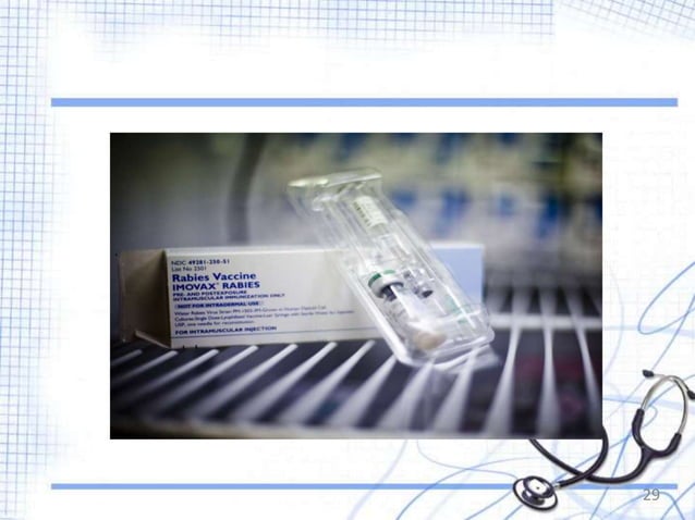 Dr.k yashoda rabies presentation | PPT