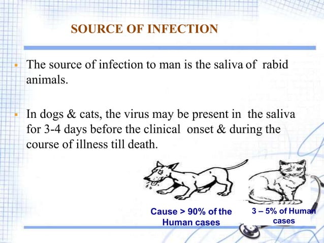 Dr.k yashoda rabies presentation | PPT