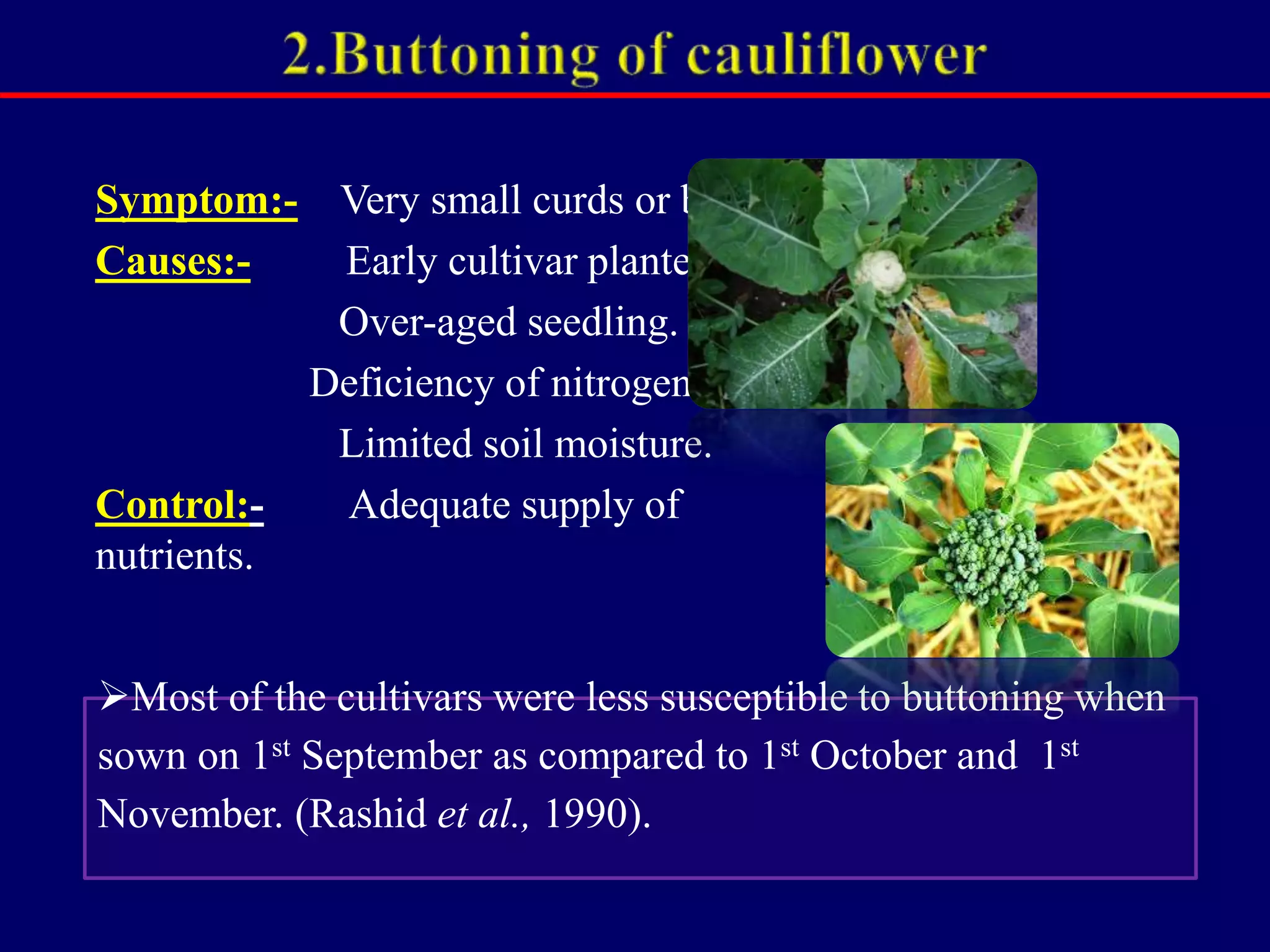 Physiological Disorder of Vegetable Crops | PPTX