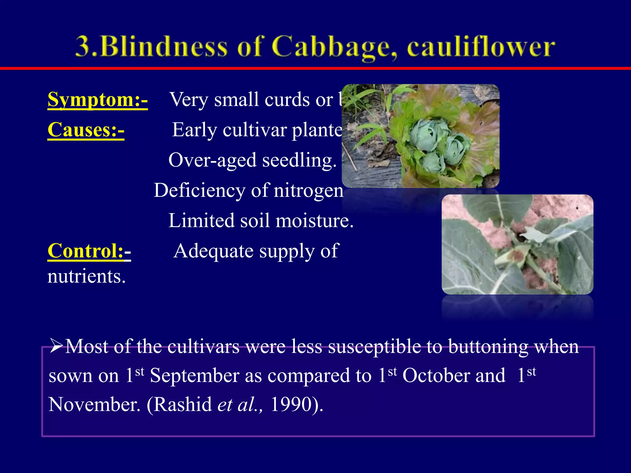 Physiological Disorder of Vegetable Crops | PPTX