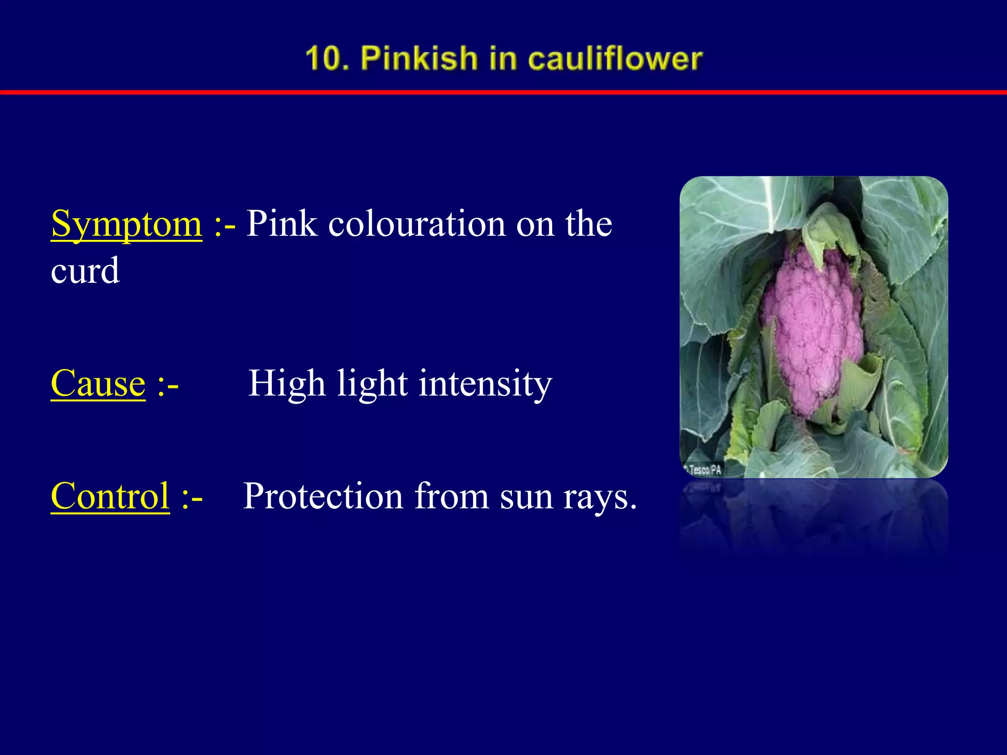 Physiological Disorder of Vegetable Crops | PPTX
