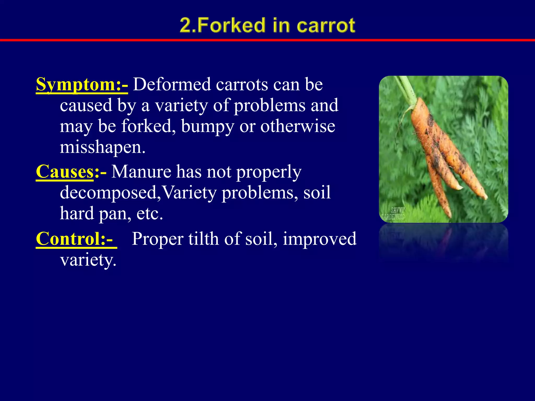 Physiological Disorder of Vegetable Crops | PPTX