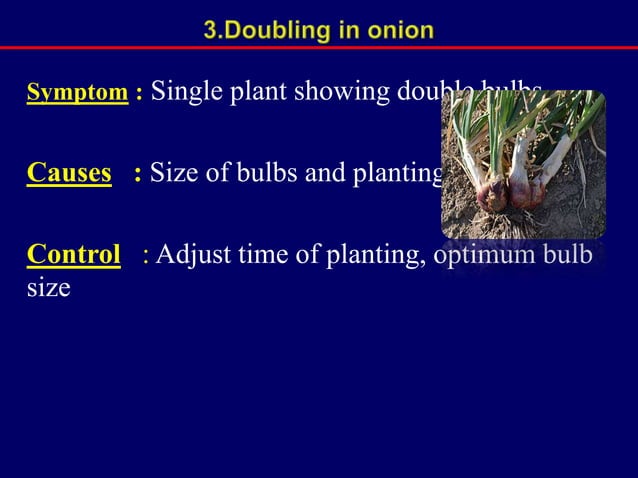 Physiological Disorder of Vegetable Crops