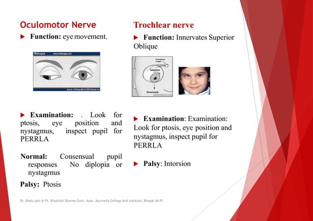central nervous system examination | PDF