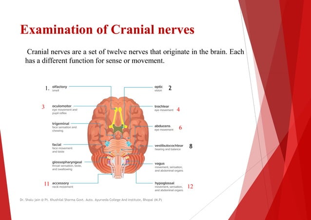 central nervous system examination | PDF