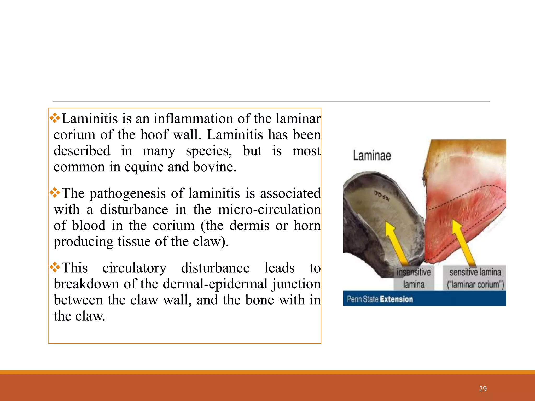 Dr. muneendra kumar | PDF | Endocrine and Metabolic Diseases | Diseases and Conditions
