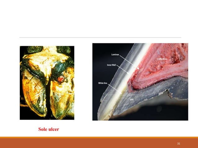Dr. muneendra kumar | PDF | Endocrine and Metabolic Diseases | Diseases and Conditions