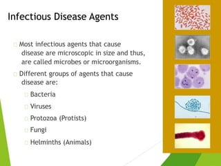 infectious diseases | PPT
