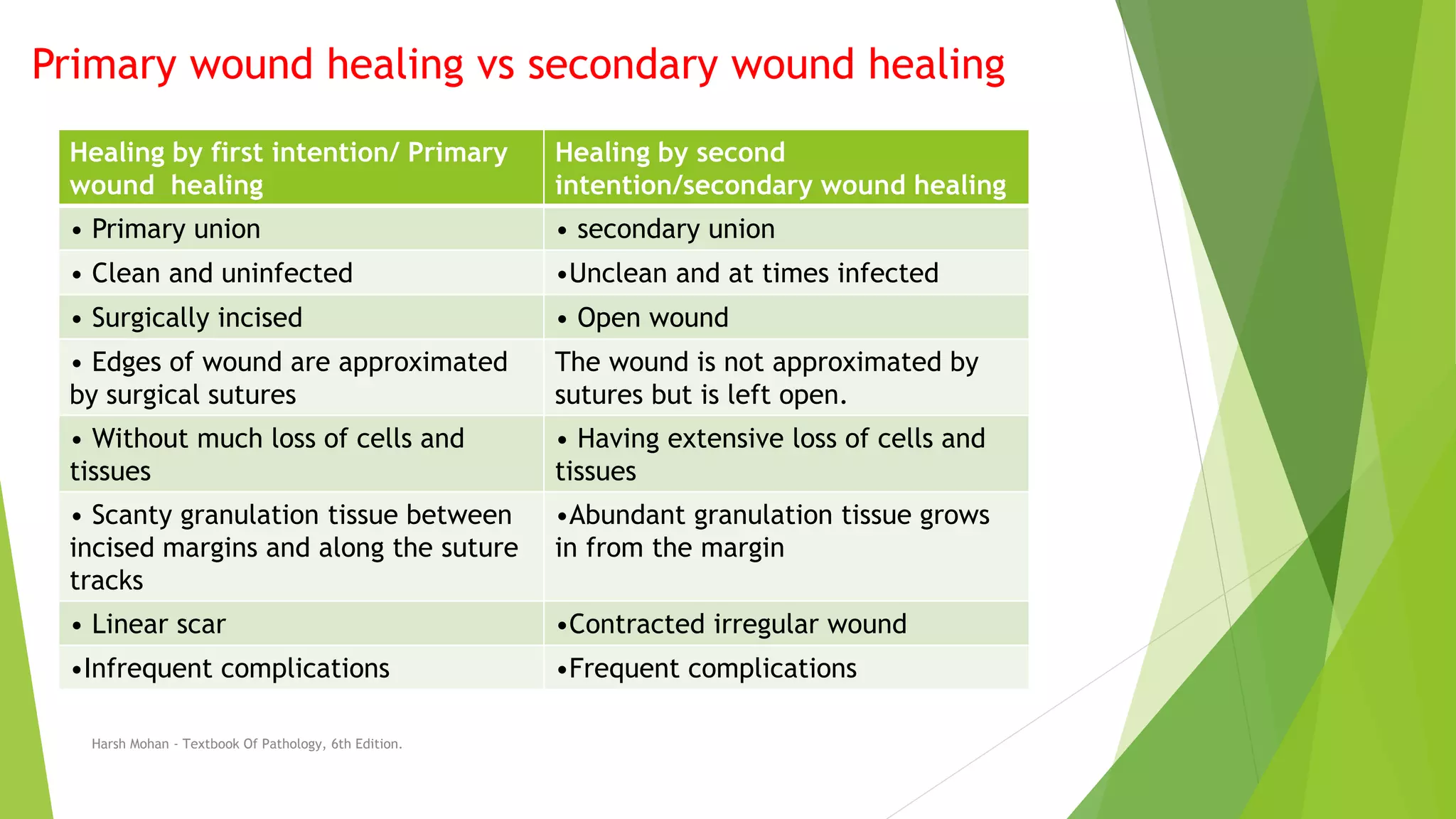wound healing seminar | PPTX