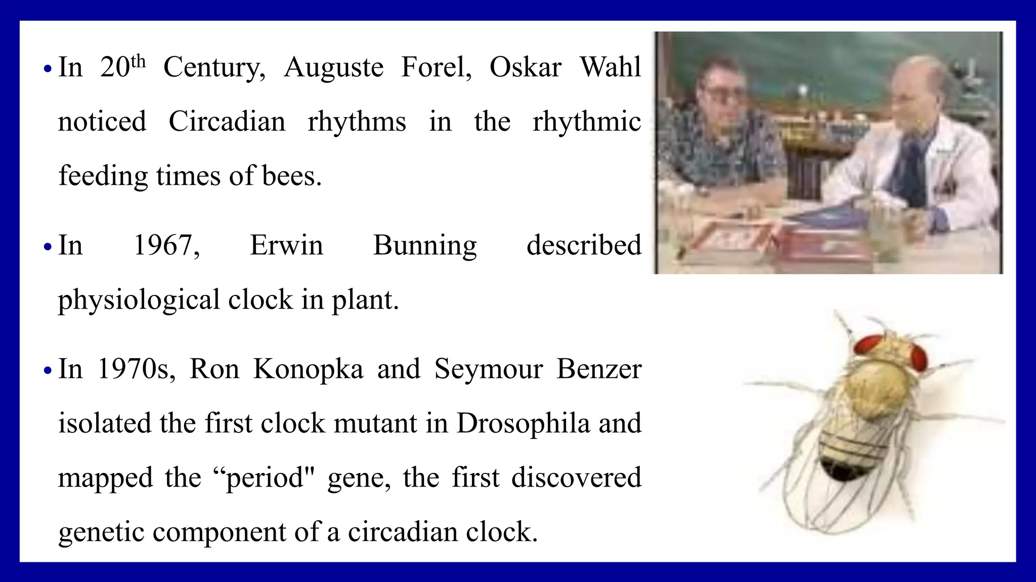 Animal Behaviour- Historical Developments in Chronobiology -Dr. Jeni ...