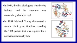 Animal Behaviour- Historical Developments in Chronobiology -Dr. Jeni ...