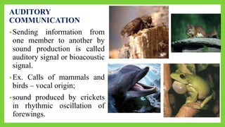 Animal communication - Dr. Jeni Padua | PPT