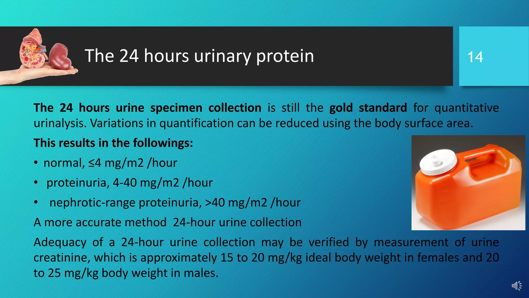 clinical approach to pediatric proteinuria | PDF