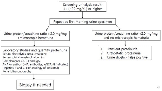 clinical approach to pediatric proteinuria | PDF | Medical Tests ...