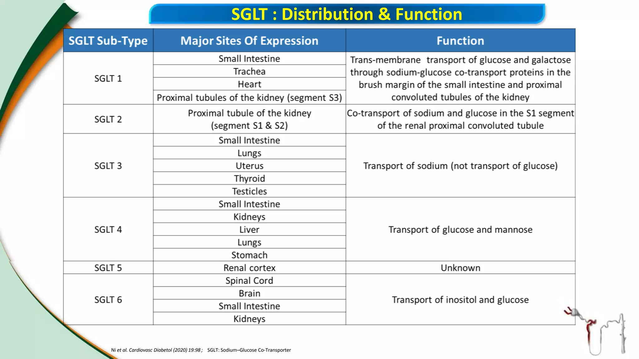 SGLT2I The paradigm change in diabetes management | PPTX