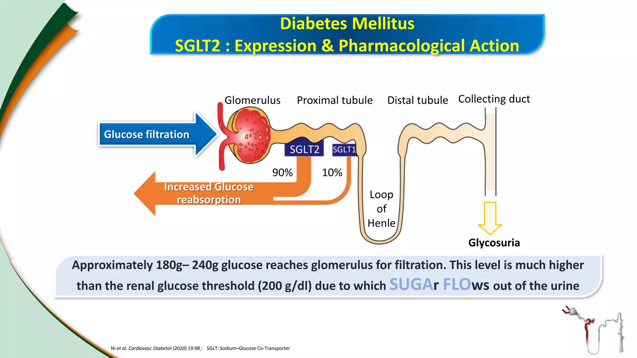 SGLT2I The paradigm change in diabetes management | PPTX