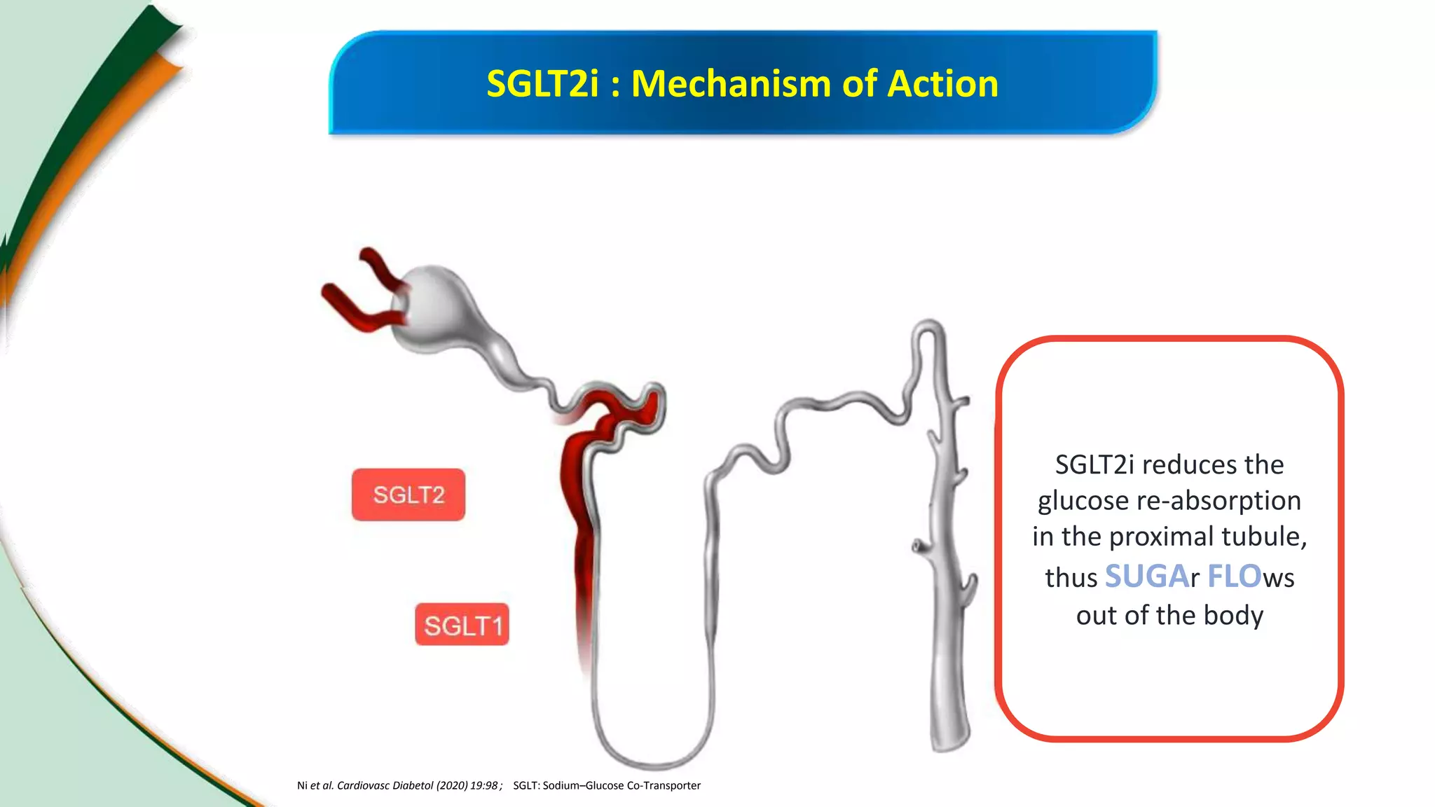 SGLT2I The paradigm change in diabetes management | PPTX