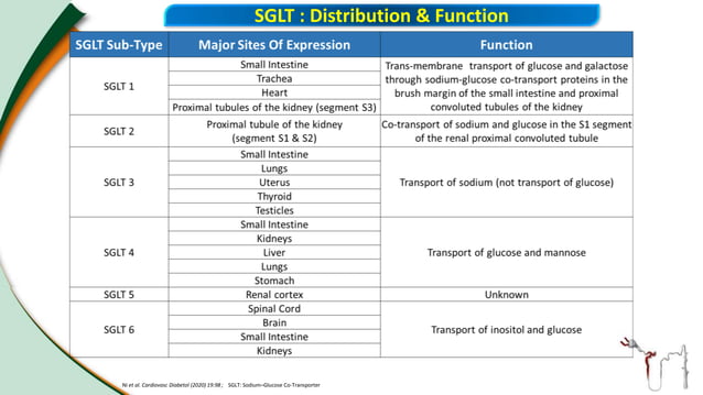 SGLT2I The paradigm change in diabetes management | PPTX