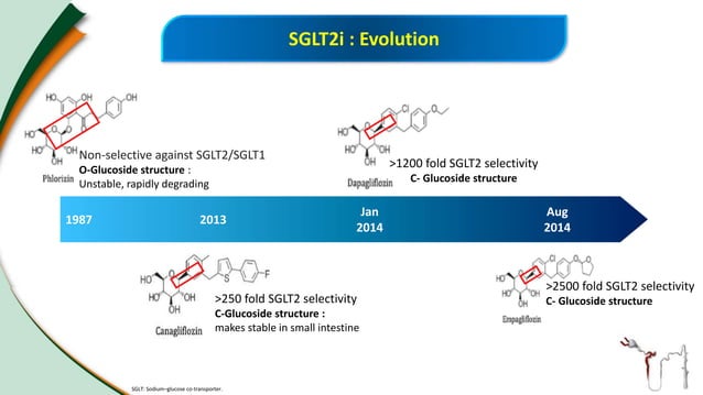 SGLT2I The paradigm change in diabetes management | PPTX