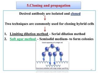 Monoclonal Antibodies and their applications | PPT