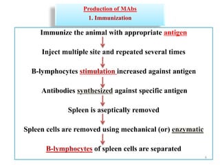 Monoclonal Antibodies and their applications | PPT