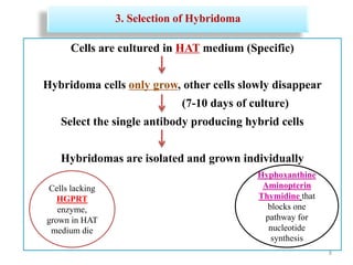 Monoclonal Antibodies and their applications | PPT