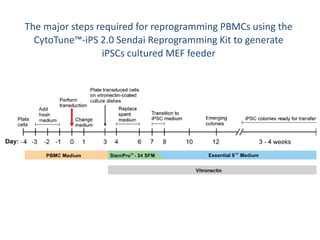 Dr. Ita Margaretha Nainggolan - Stem Cell Research and its Development ...