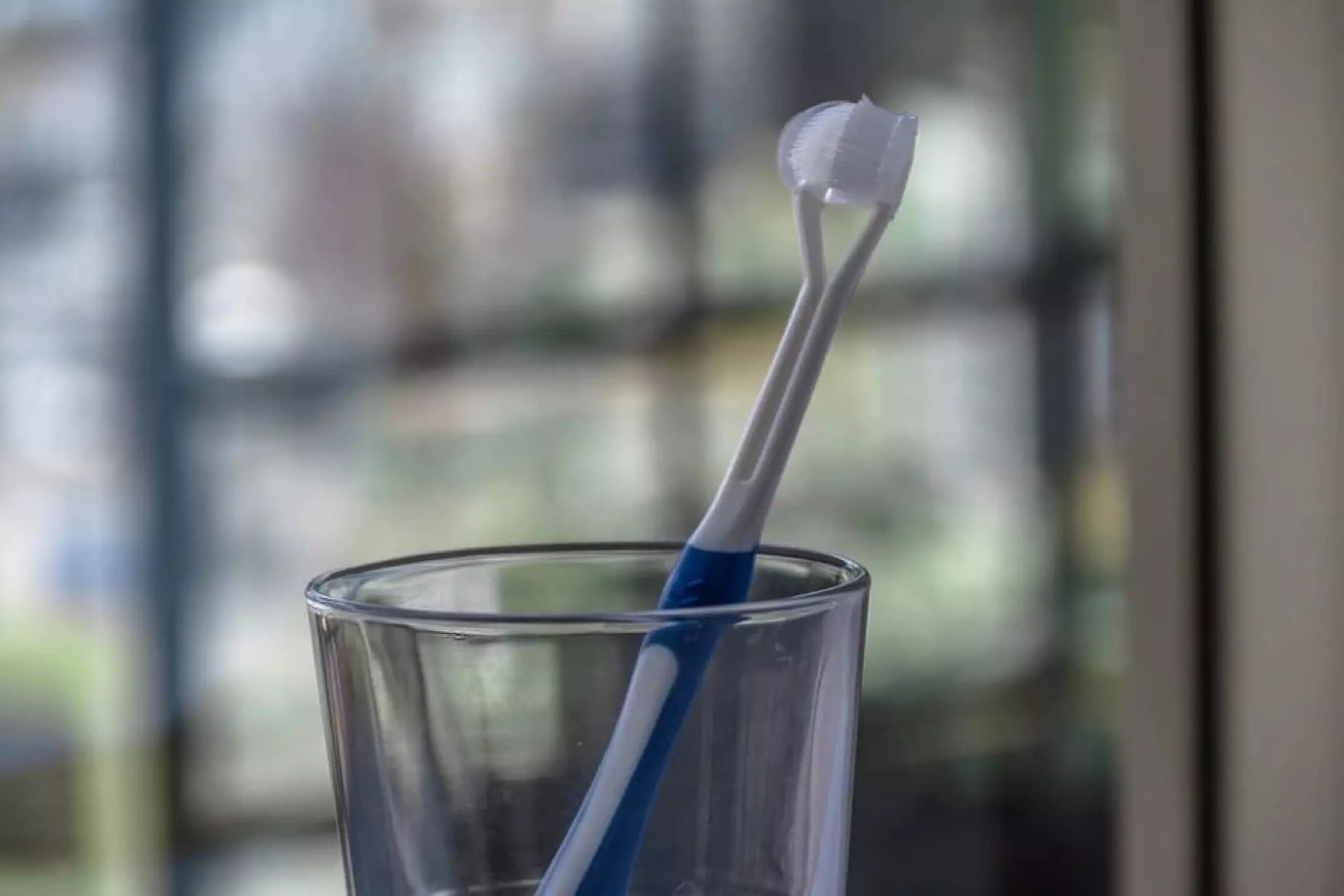 The soft bristles of a toothbrush exfoliate the teeth' surface. | PDF ...