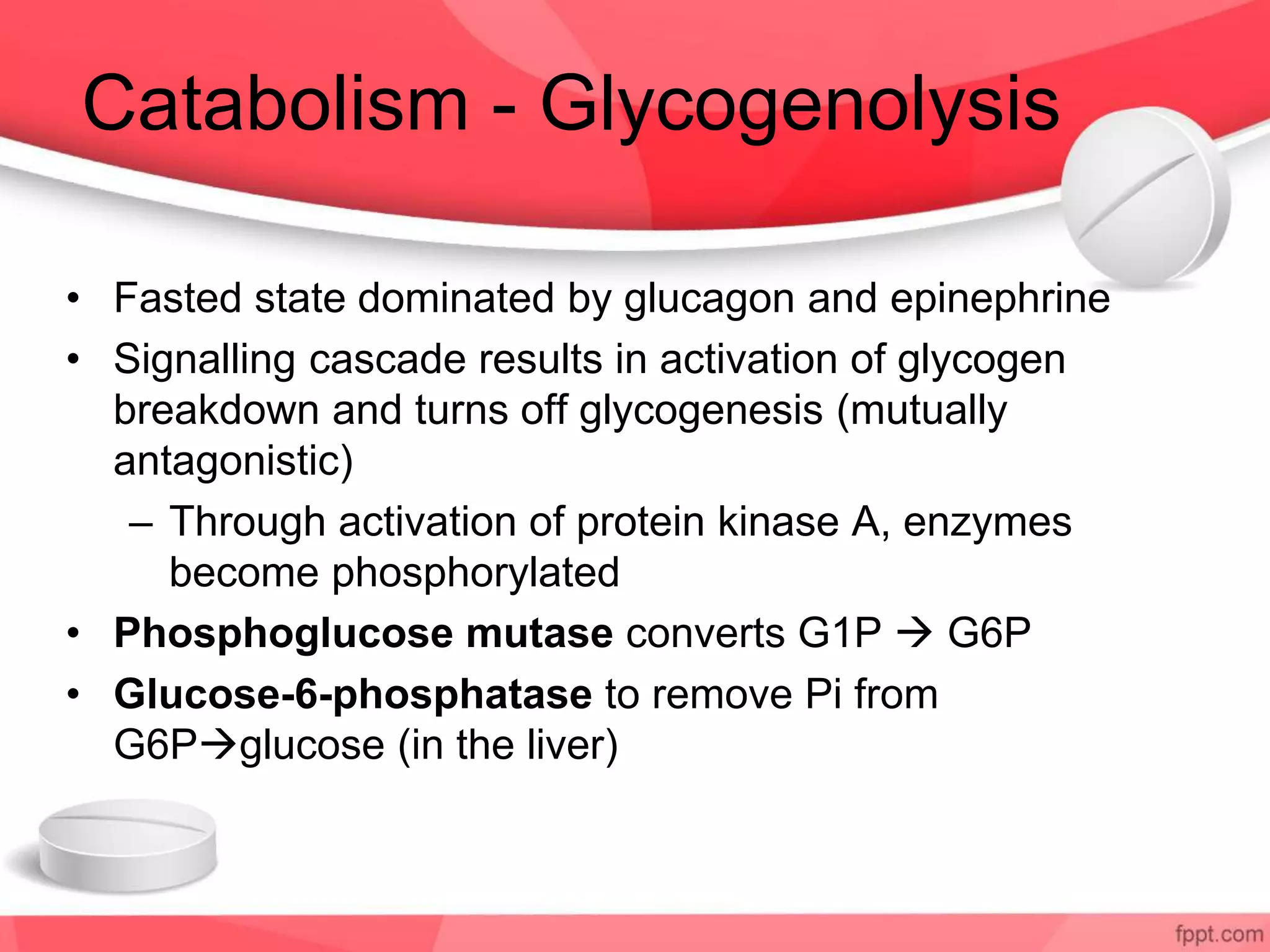 Glycogen Storage Disease | PPTX