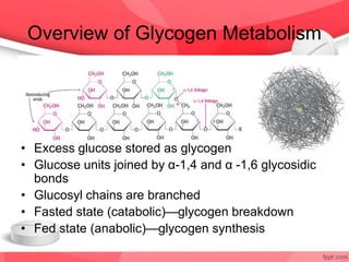 Glycogen Storage Disease | PPTX