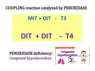 Dr. Kiran Thyroid hormones introduction.pptx