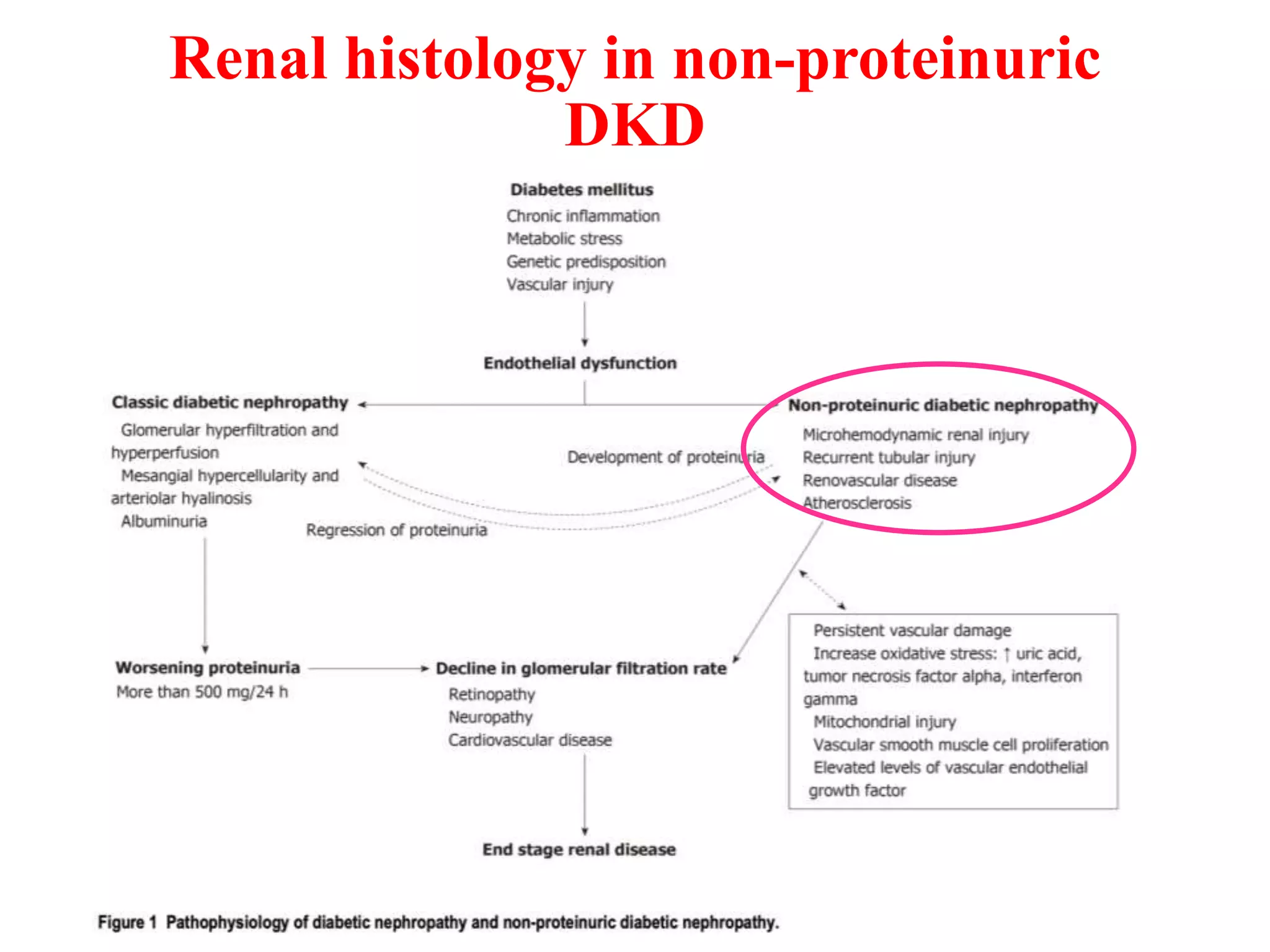 Changing histology in diabetic kidney disease | PPTX