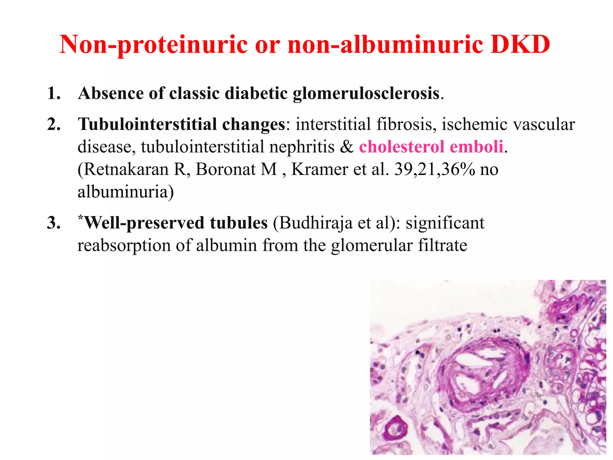Changing histology in diabetic kidney disease | PPTX
