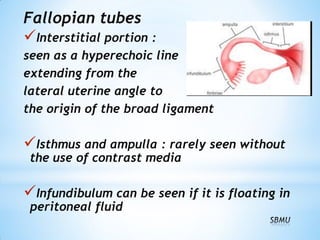 Dr.Nazari.Normal_Pelvic_Ultrasound.pdf | Pregnancy | Reproductive Health