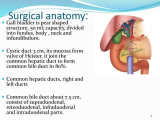 Dr.Saad Gall Bladder and Biliary Tract2022.pptx