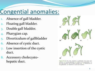 Dr.Saad Gall Bladder and Biliary Tract2022.pptx