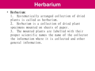 Herbarium - E.M.ppt