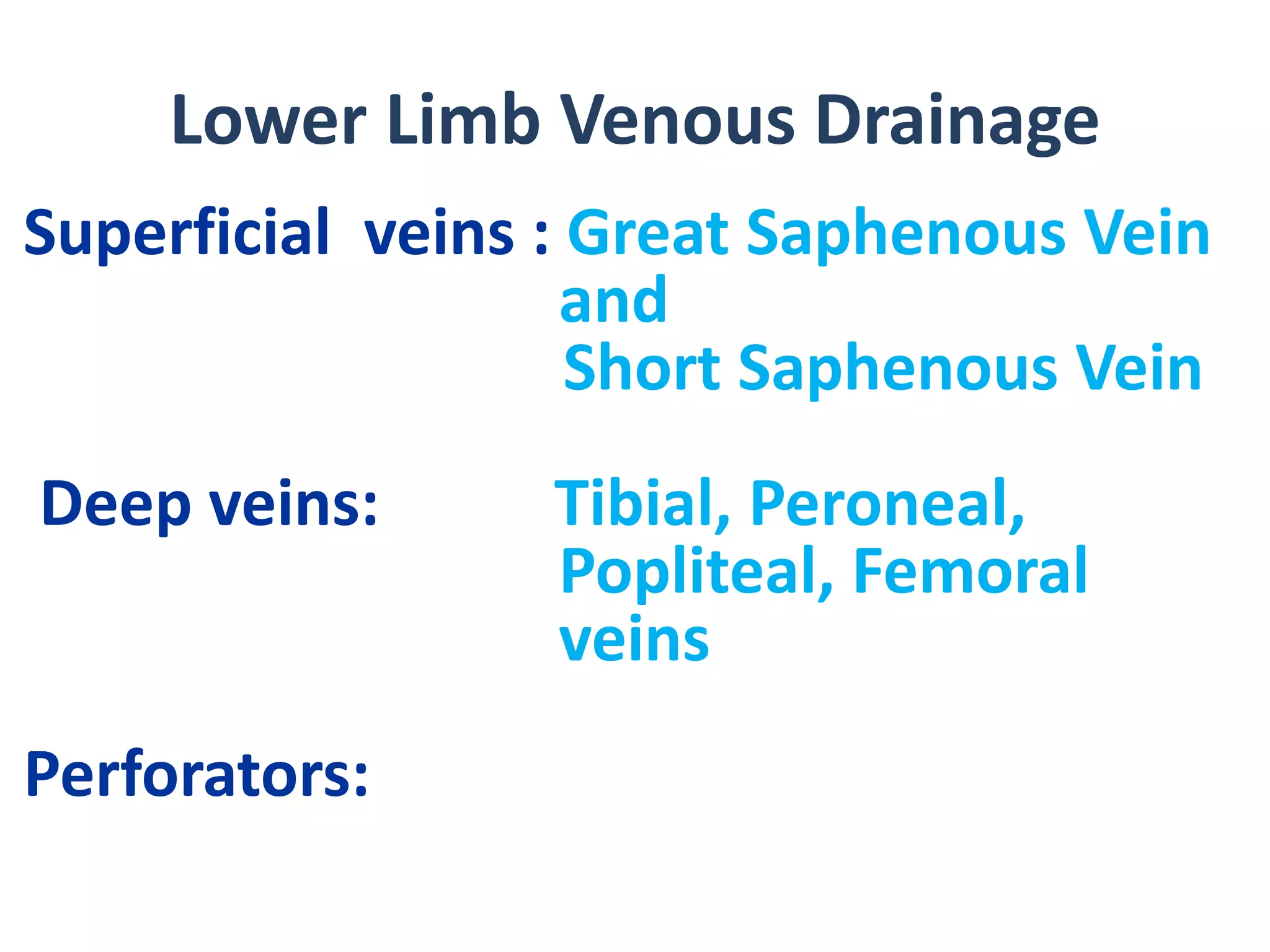 Lower limb Venous system | PDF