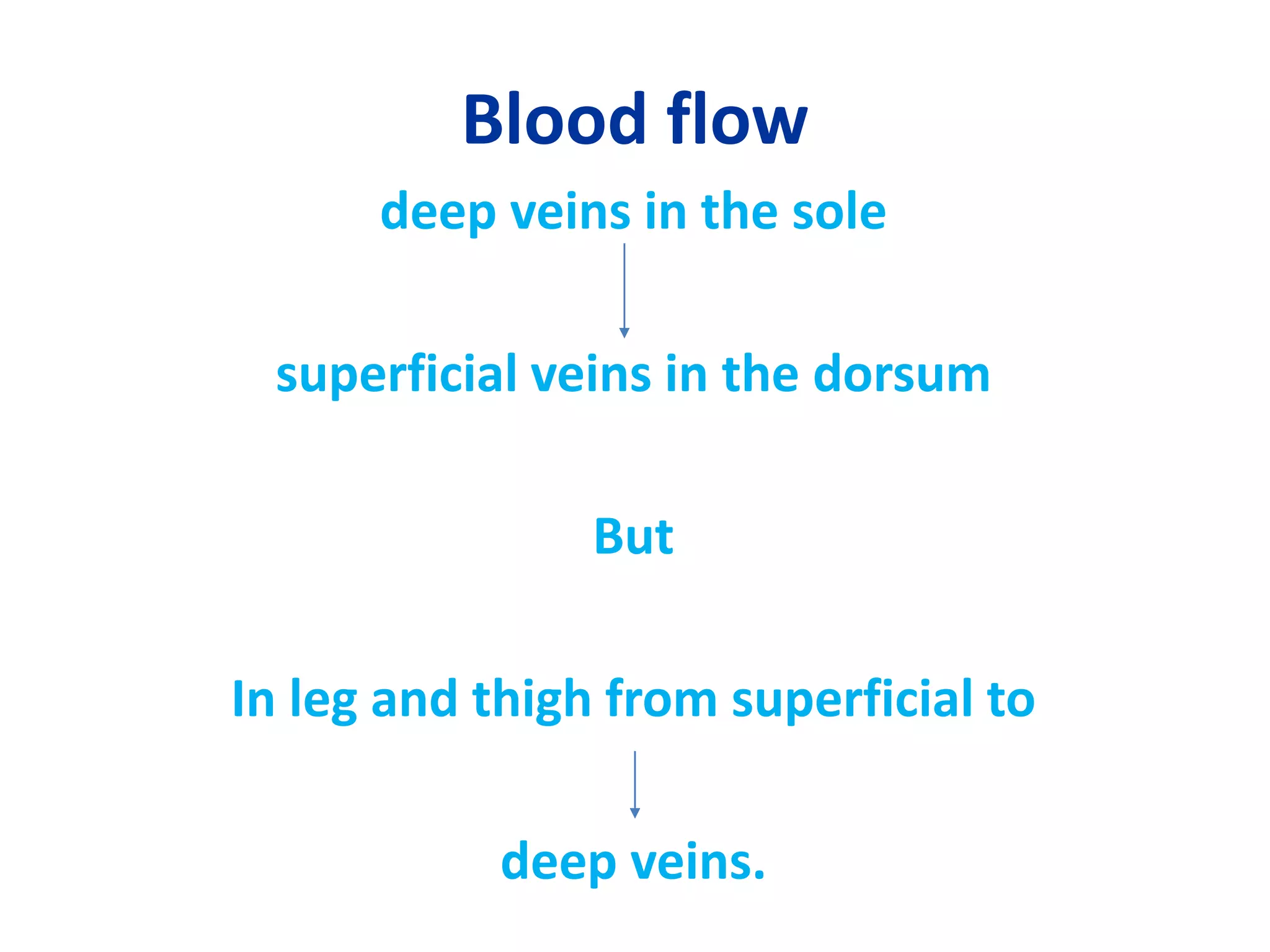 Lower limb Venous system | PDF