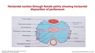(Peritoneum anatomy .pdf