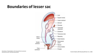 (Peritoneum anatomy .pdf