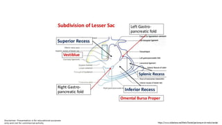 (Peritoneum anatomy .pdf