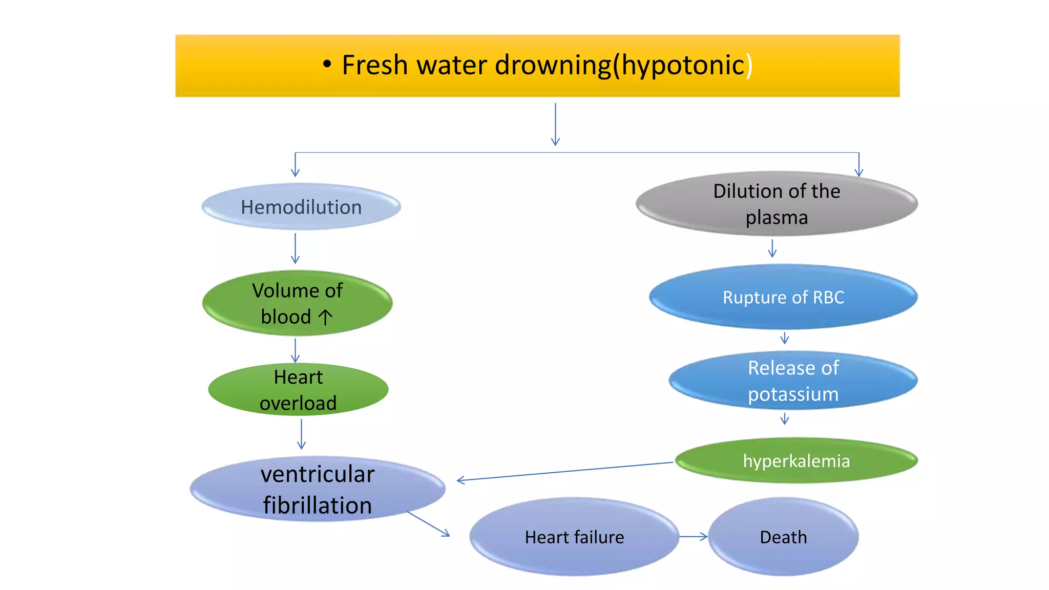 pathophysiology of drowning.pptx Dr. Haricharan MD RIMS Imphal . MBBS ...