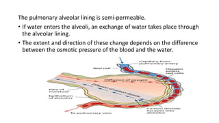 pathophysiology of drowning.pptx Dr. Haricharan MD RIMS Imphal . MBBS ...