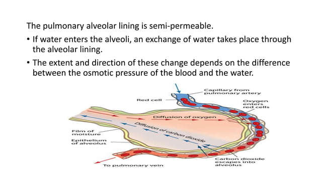pathophysiology of drowning.pptx Dr. Haricharan MD RIMS Imphal . MBBS ...