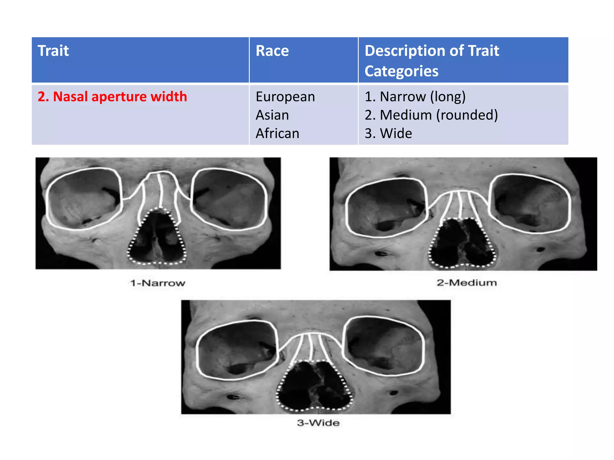 DETERMINATION OF RACE FROM HUMAN REMAINS.pptx Dr. Haricharan MD RIMS ...