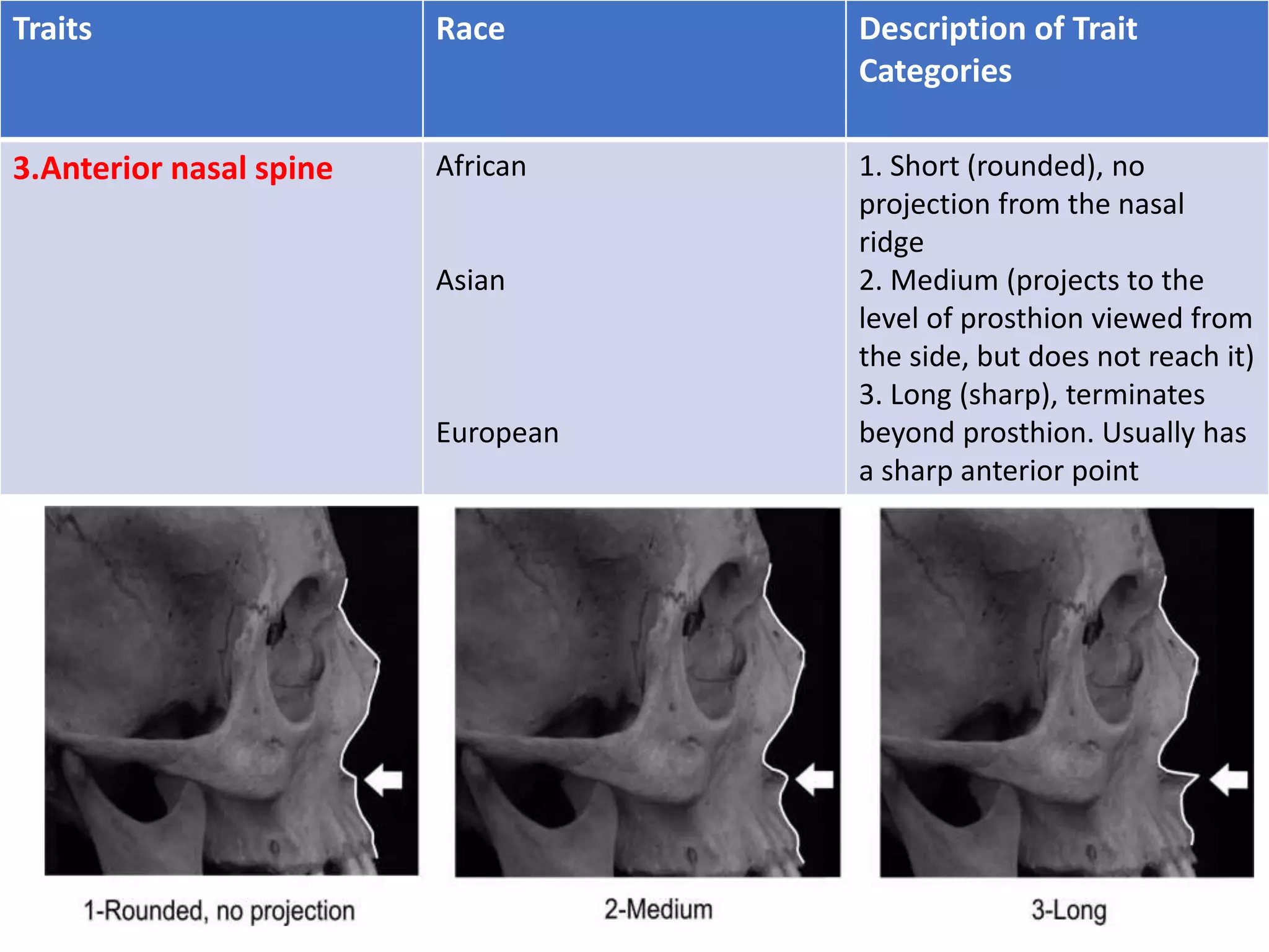 DETERMINATION OF RACE FROM HUMAN REMAINS.pptx Dr. Haricharan MD RIMS ...