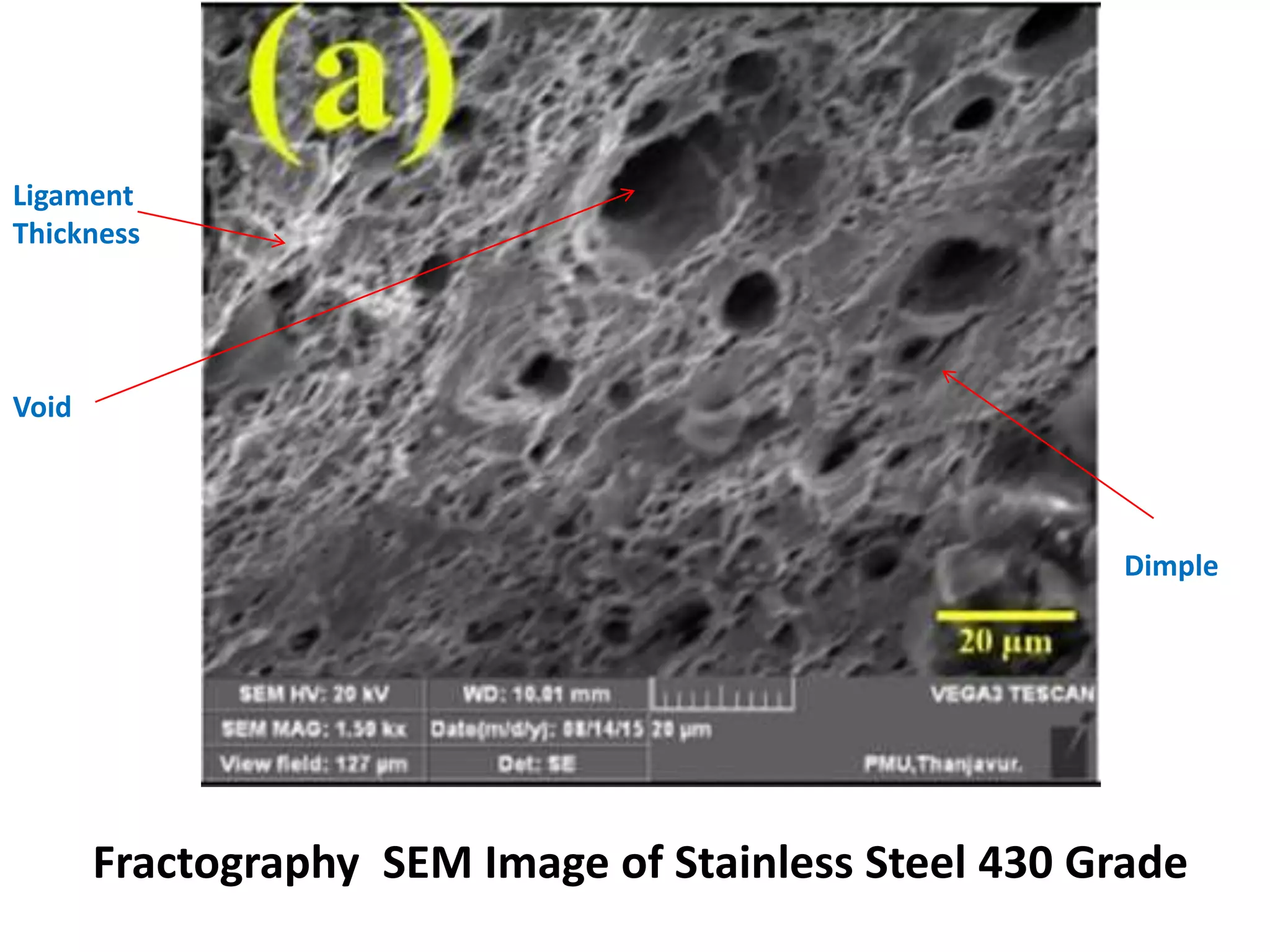 Dr.R.N Microstructure & SEM images.pptx