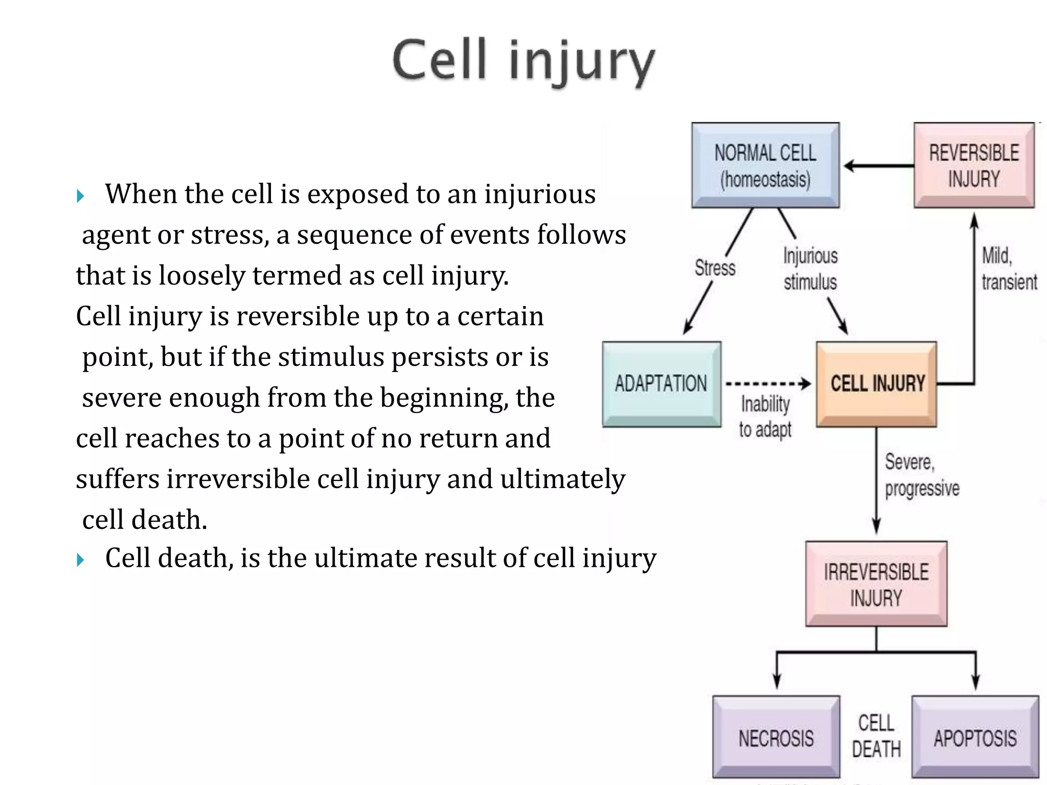 Dr.Jasveer. cell injury presentation.pptx